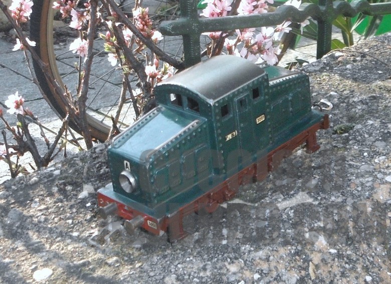 FS 3001 in alternata | Cucciolo Azzurro