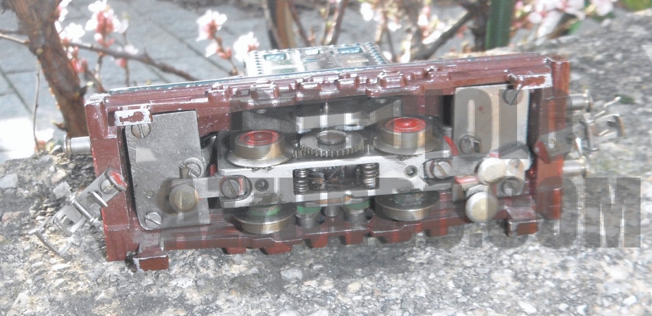 FS 3001 sotto | Cucciolo Azzurro