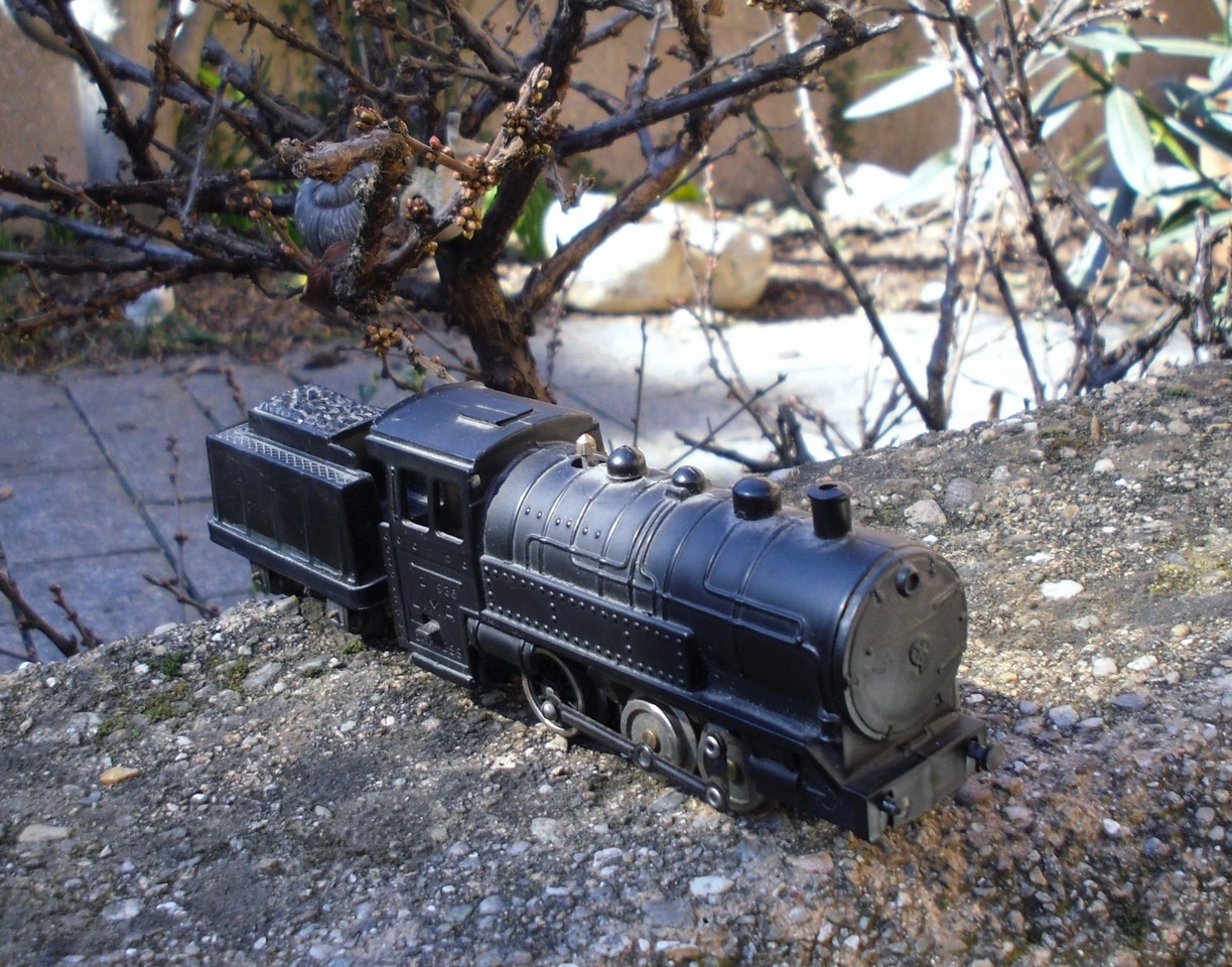 Lima Express fianco | Cucciolo Azzurro